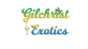 Bigga Jamaican Kola 600ml – Gilchrist Exotics